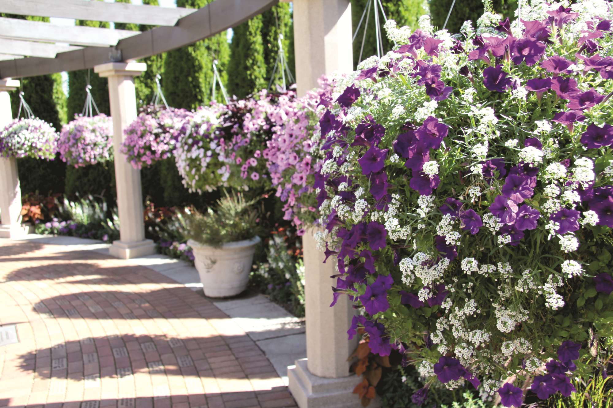 Msu Botanical Gardens Address | Fasci Garden