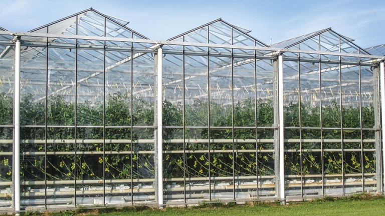 How To Fine-Tune Your Greenhouse Cooling And Ventilation Systems ...