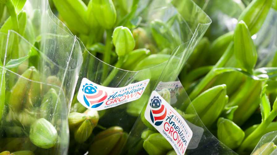 Certified American Grown Flowers Names New Third-Party Certifier ...