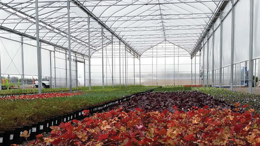 How to Get the Most Out of Your Greenhouse Poly - Greenhouse Grower