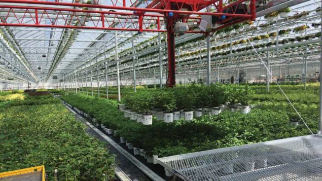 What You Need to Know about the AgriNomix/Zwart Systems/AdeptAg Deal ...