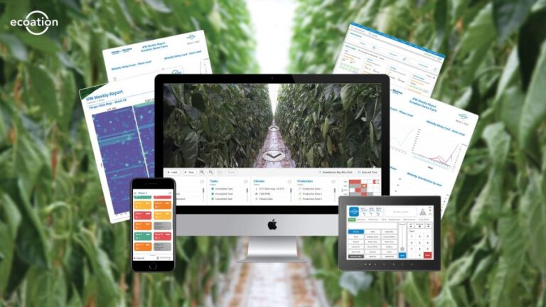 AI-Based Greenhouse Crop Management System Earns National Support - Greenhouse Grower