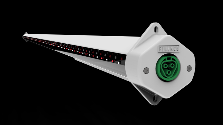 New Lighting Technology Designed for High-Density Vegetable Crops ...