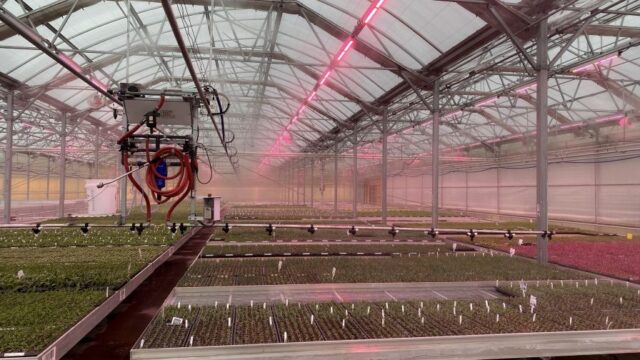 8 Trends Driving Grower Technology Adoption - Greenhouse Grower