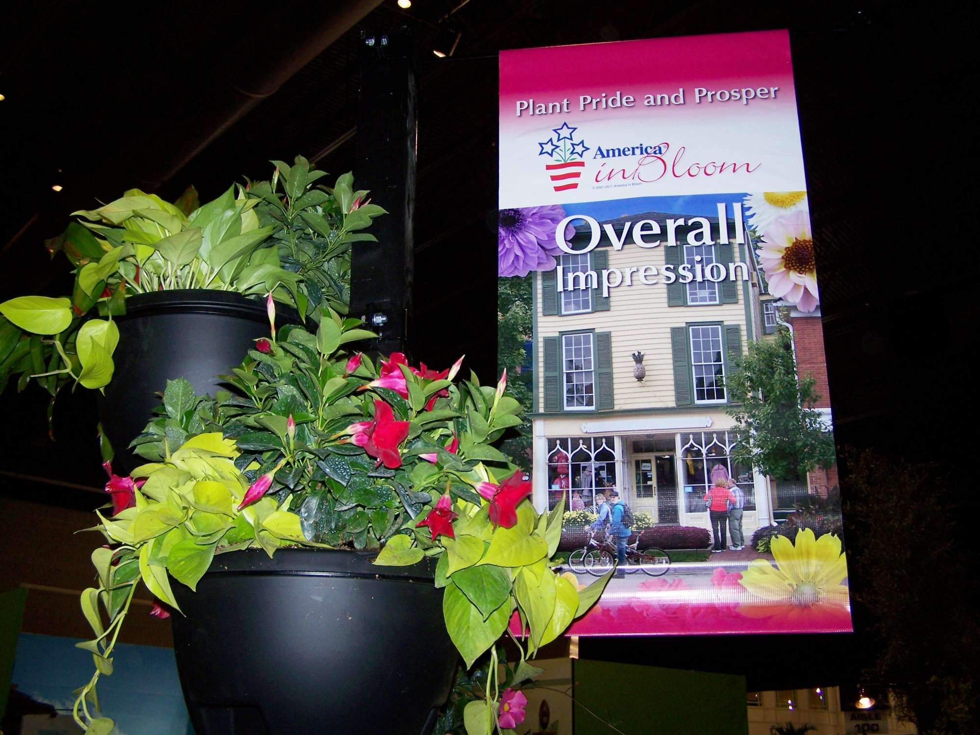 America In Bloom Moves Forward With New Management Company - Greenhouse ...